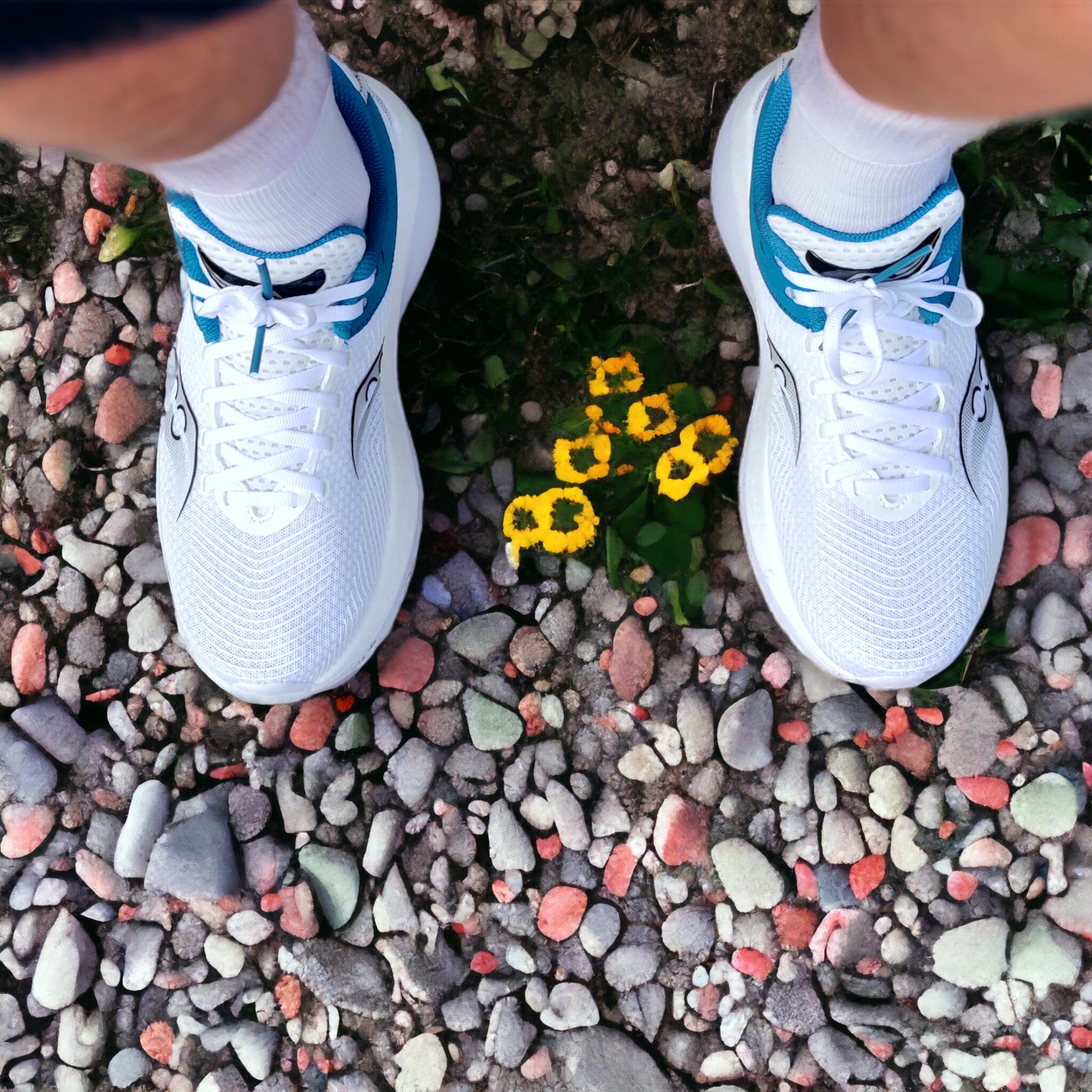 Sportlink Specialist Running & Fitness